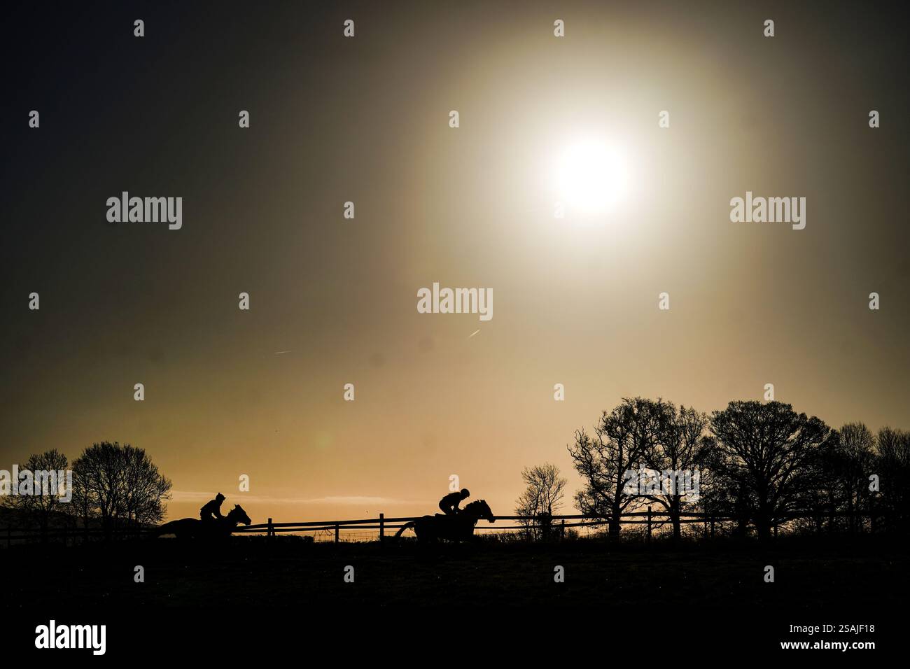 Les chevaux de la cour de James Evans font de l'exercice sur leurs ...