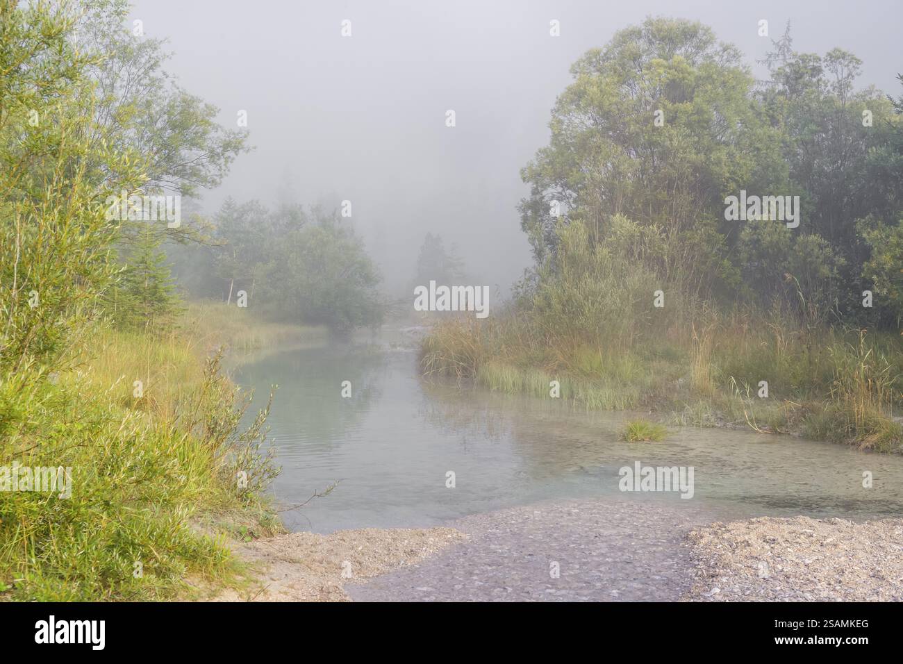 Zone de conservation de la nature de la vallée d'Isar. La rivière ...