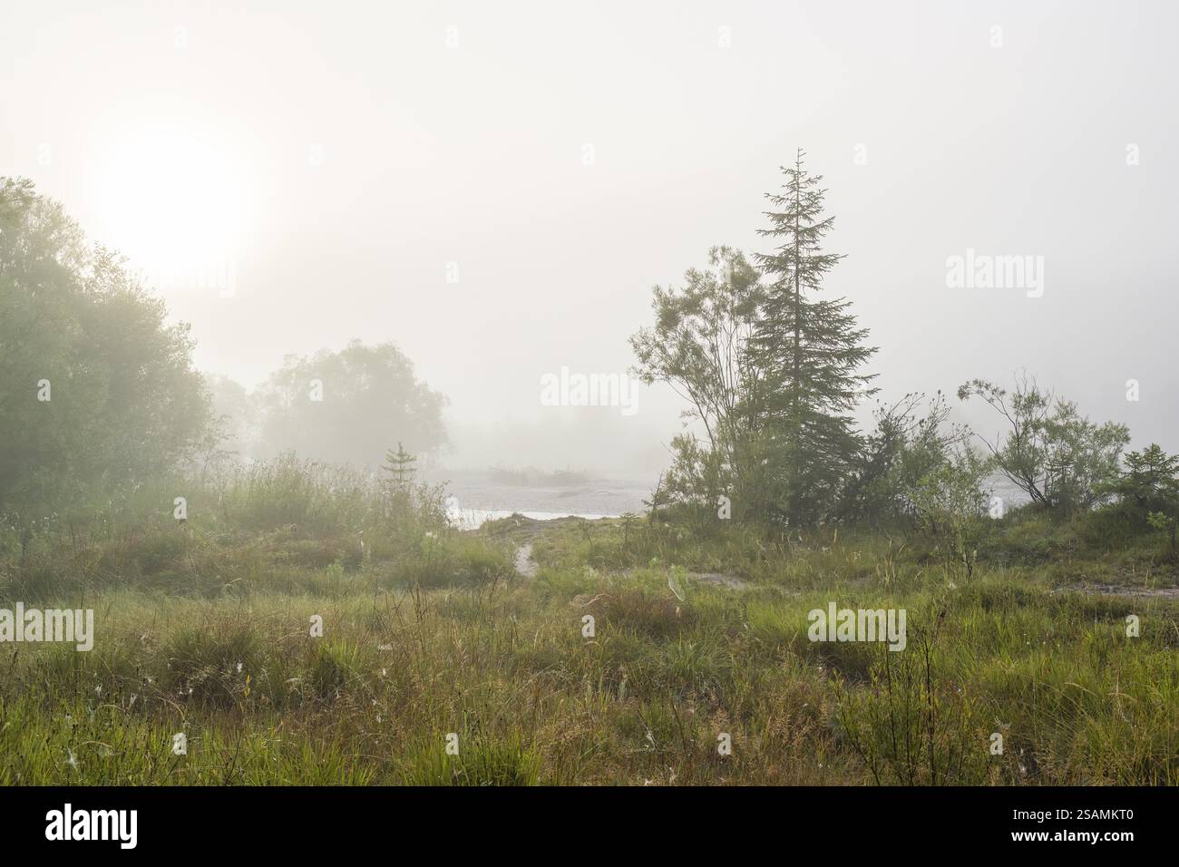 Zone de conservation de la nature de la vallée d'Isar. La rivière ...