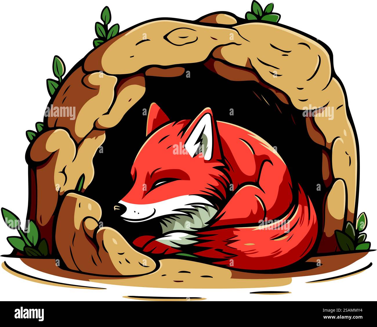 Renard renard roux Banque d'images vectorielles - Alamy