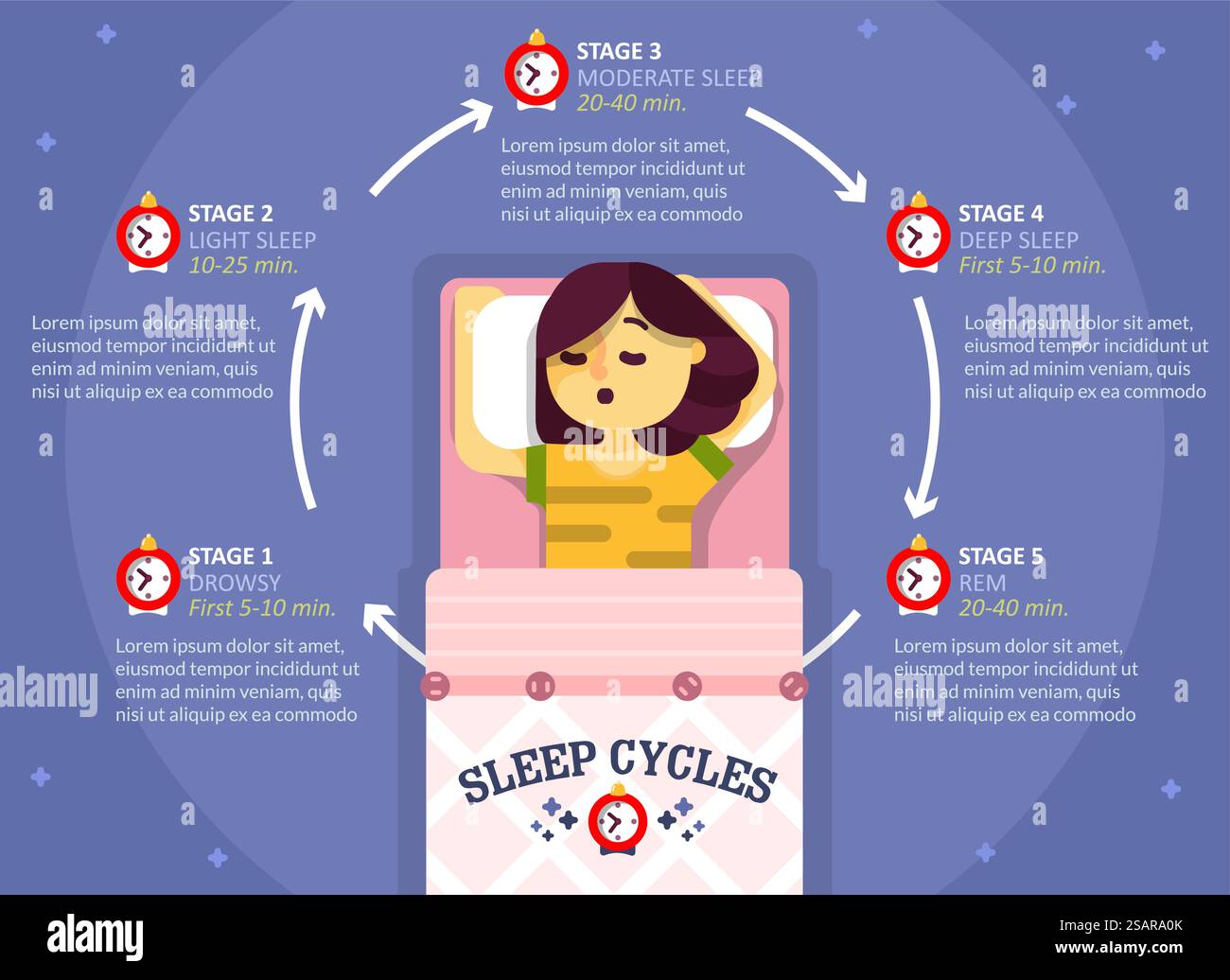 Infographies du cycle de sommeil, illustration plate vectorielle ...