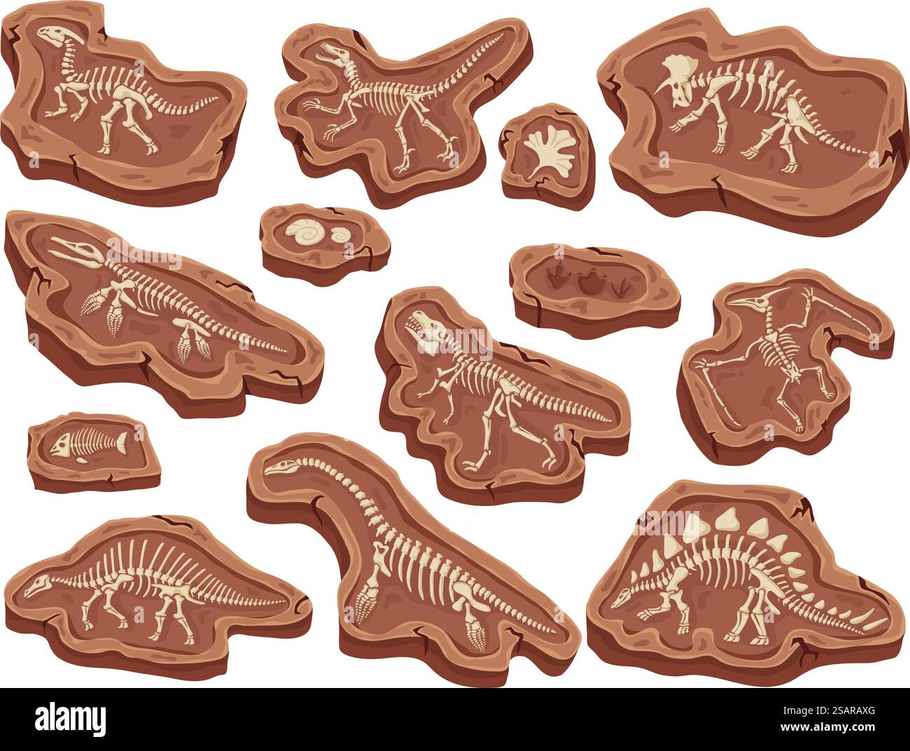 Fossiles de dessins animés. Fossilisation des dinosaures, ossements de ...
