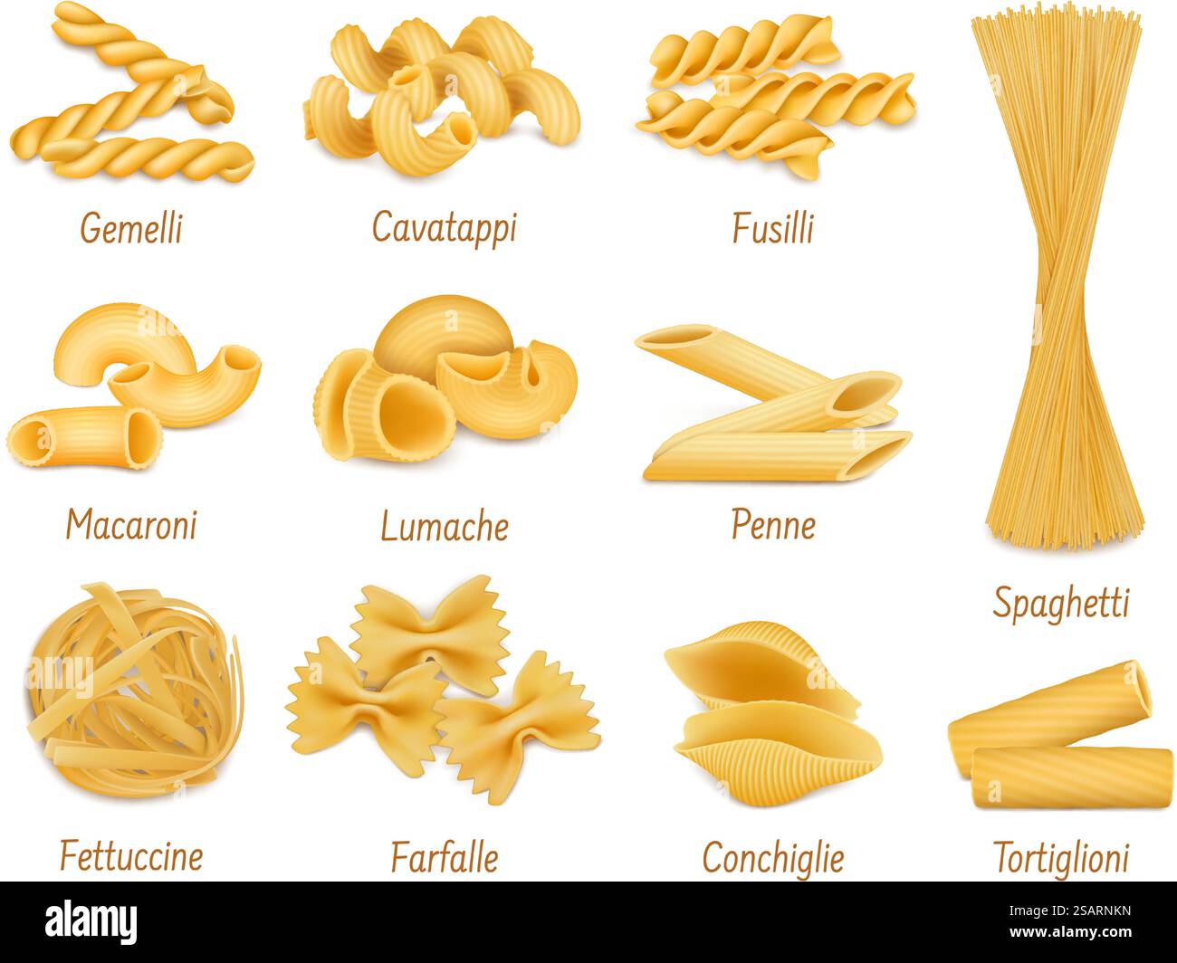 Pâtes réalistes, farfalle, spaghetti et macaroni penne. Plat de cuisine ...