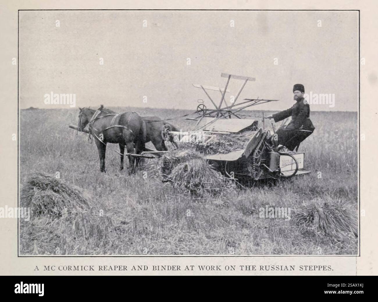 MCCORMICK REAPER ET BINDER AU TRAVAIL SUR LES STEPPES RUSSES. DE L ...