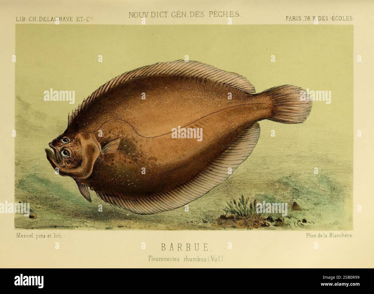 La Pêche et les poissons Paris, C. Delagrave et cie, 1868 dictionnaires ...