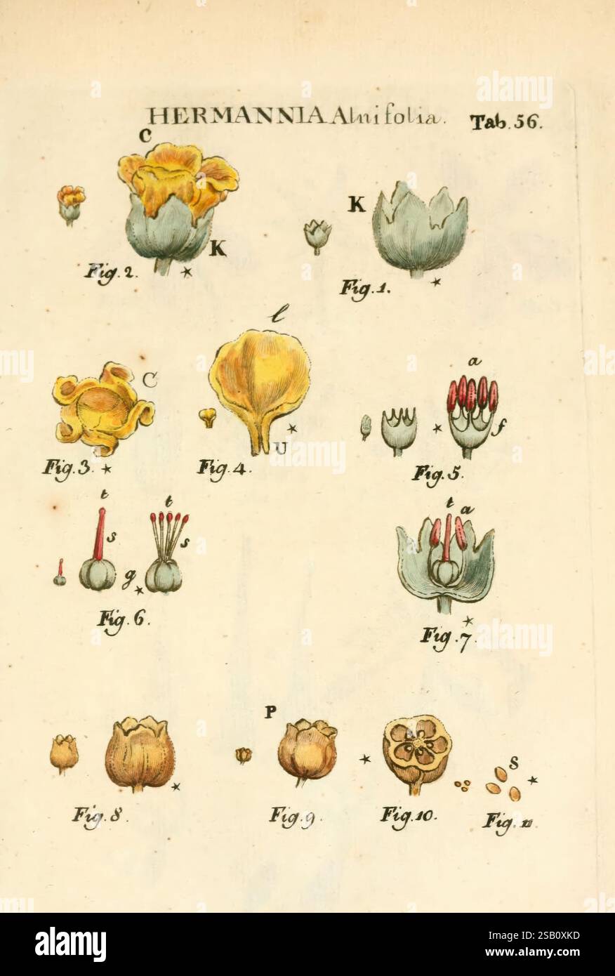 Illustratio systematis sexualis Linnaeani Francofurti ad Moenum ...