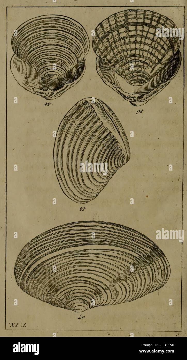 Unterhaltungen aus der Naturgeschichte, Augsbourg, Schlosser, 1834 ...