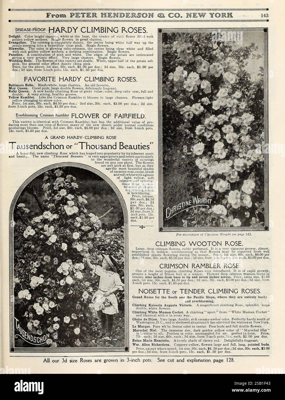Tout pour le jardin. New York, Peter Henderson & Co, c1915, fleurs ...