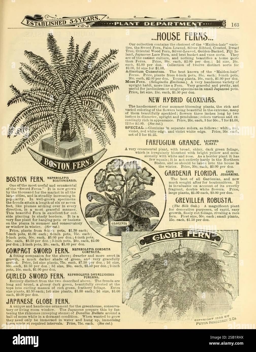 Tout pour le jardin, New York, Peter Henderson & Co, 1902 fleurs ...