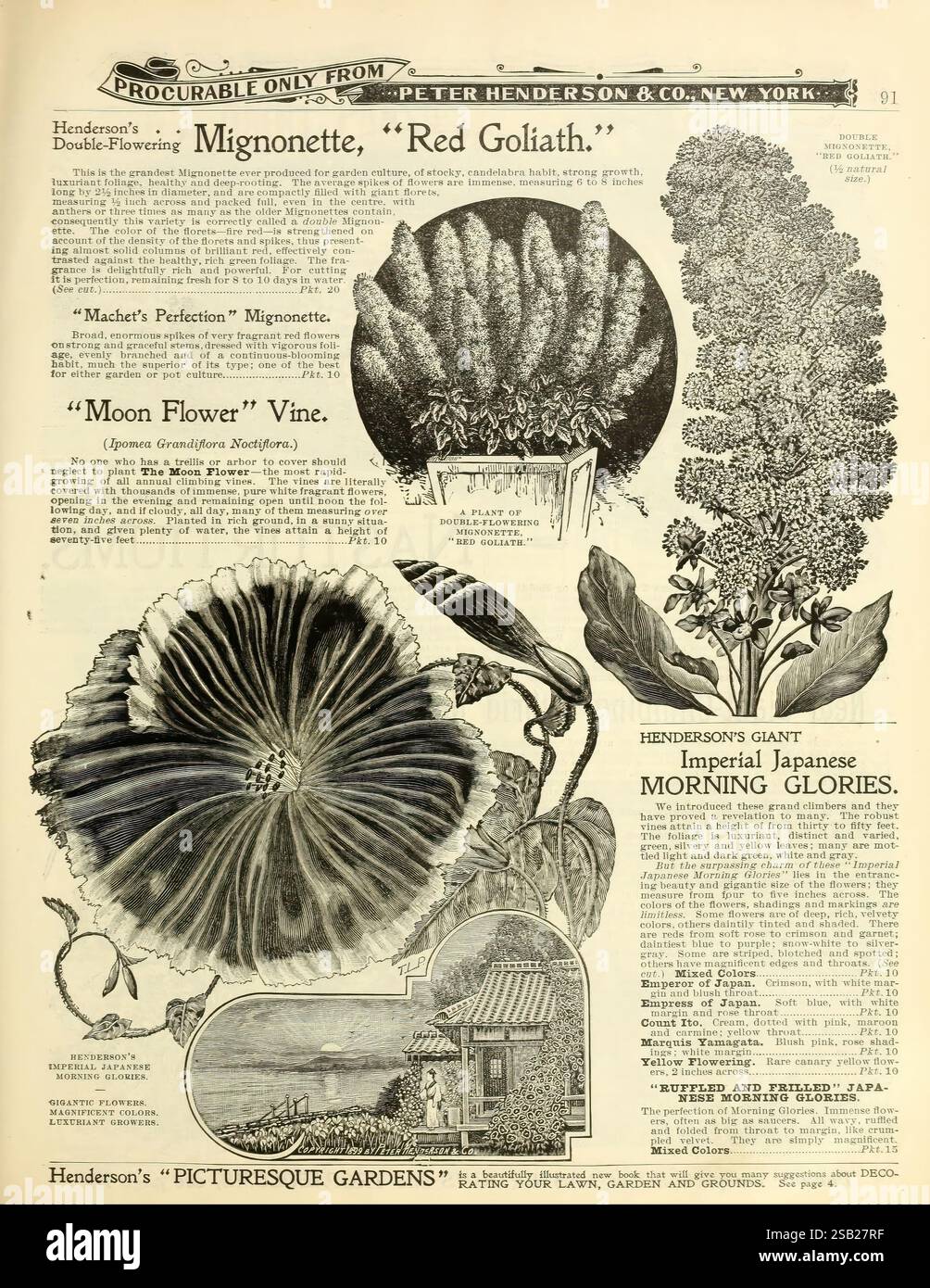 Tout pour le jardin, New York, Peter Henderson & Co, 1902, fleurs ...