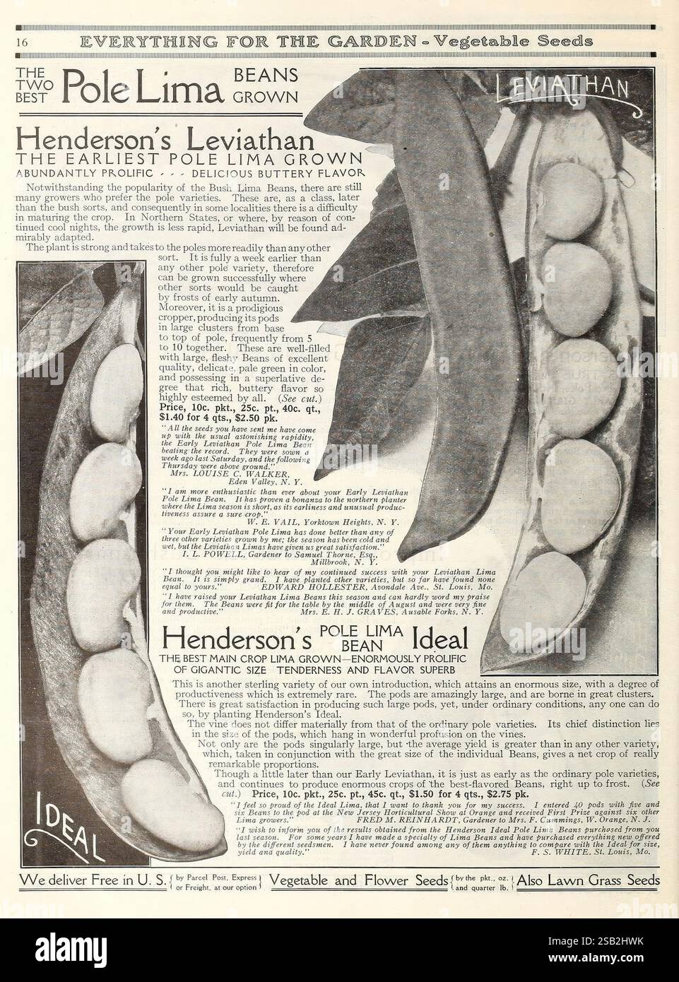 Tout pour le jardin New York Peter Henderson & Co. c1915 fleurs livres ...