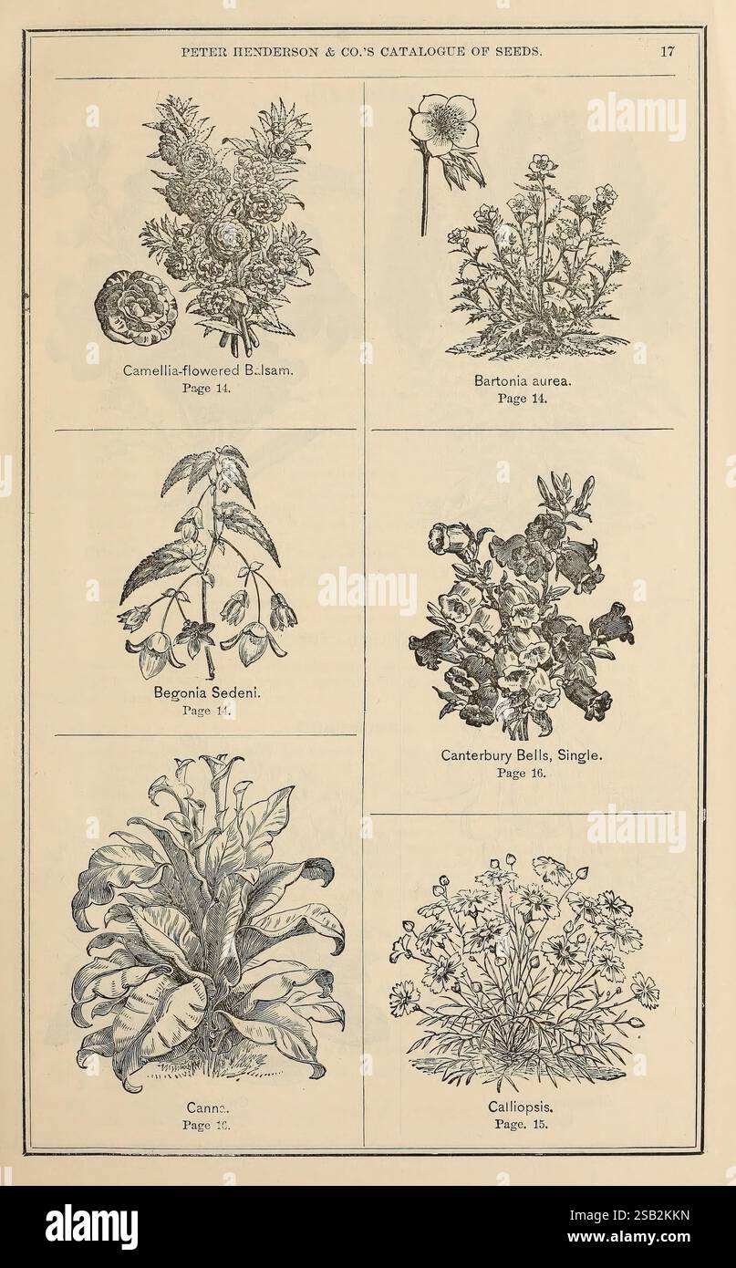 Peter Henderson & Co's Seed catalogue, New York, Peter Henderson & Co ...