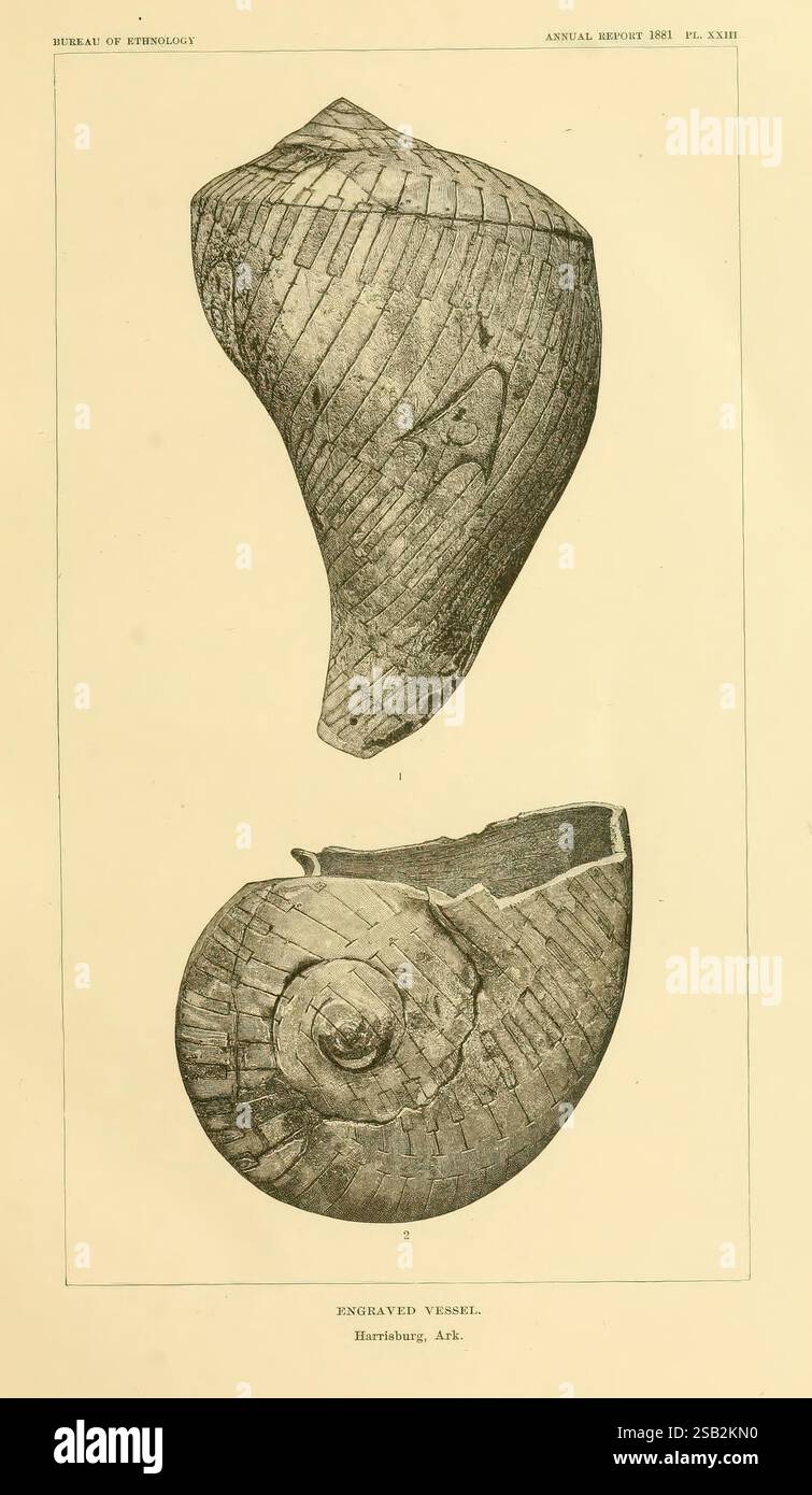 Art en coquille des anciens Américains, Washington, Govt. Imprimer ...