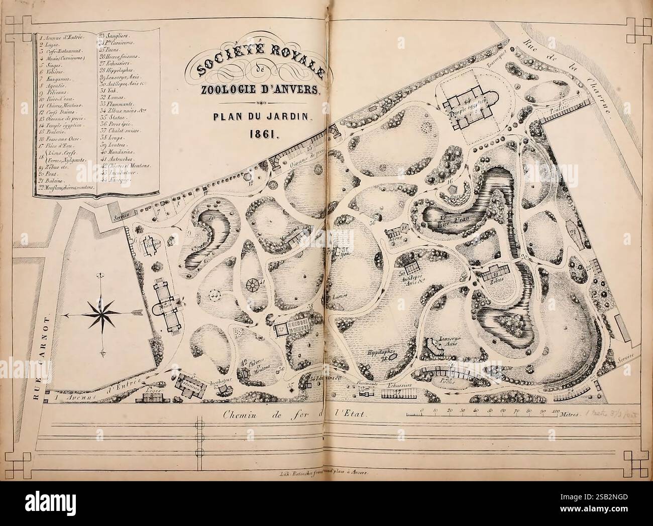 Promenade, au, jardin, zoologique, d', Anvers, Anvers, J.-E, Buschmann ...