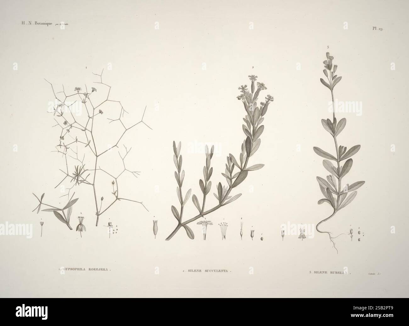 L'illustration présente une représentation scientifique de quatre ...