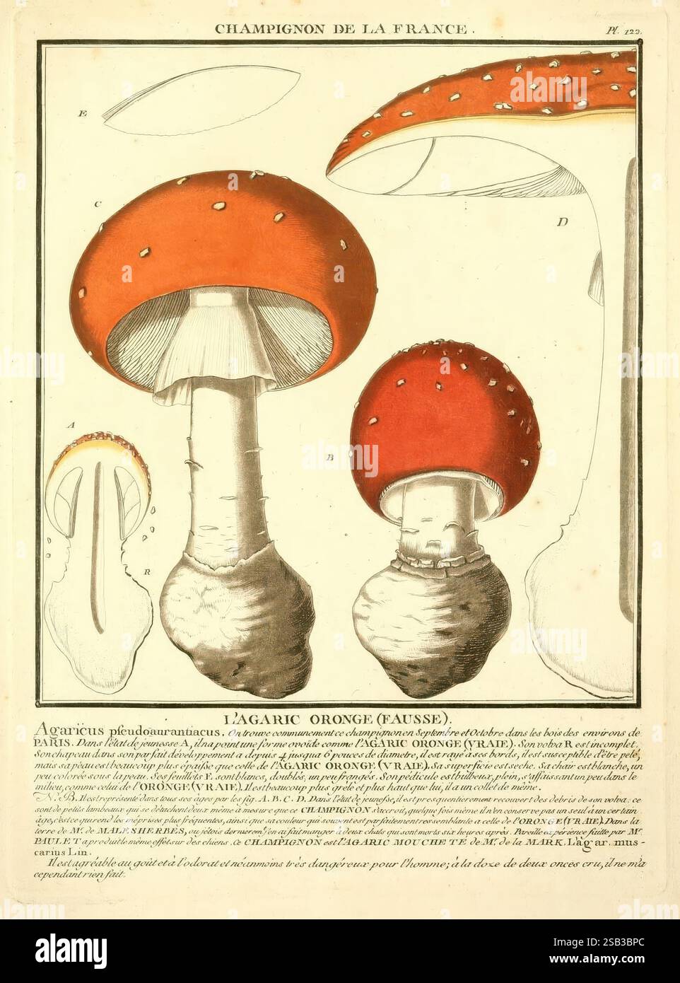 Herbier de la France, Paris, chez l'auteur, Didot, Debure, Belin, 1780 ...