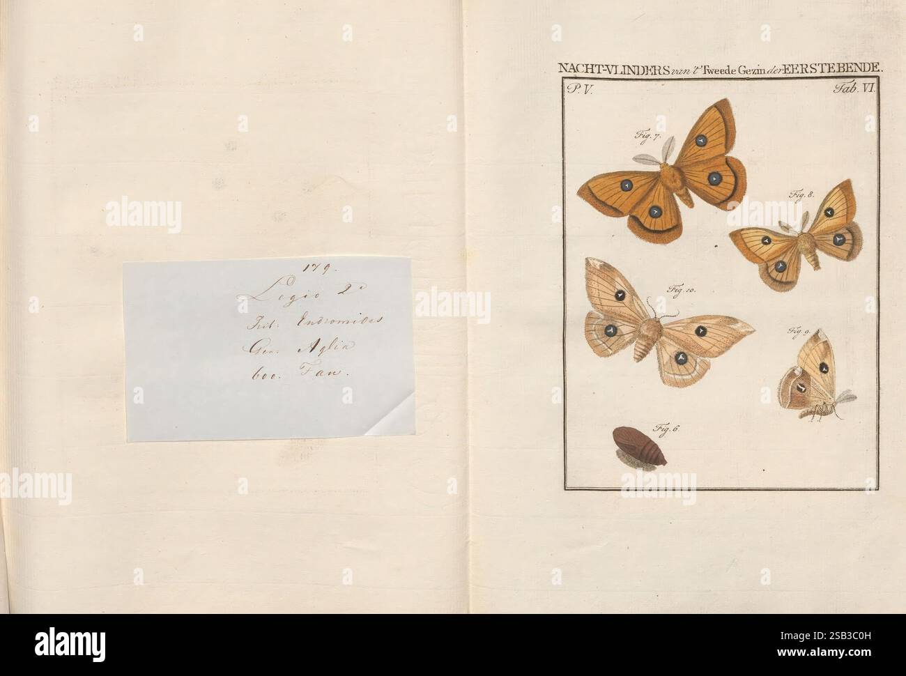 Beschouwing der Wonderen Gods, in de minst geachte schepzelen, te ...