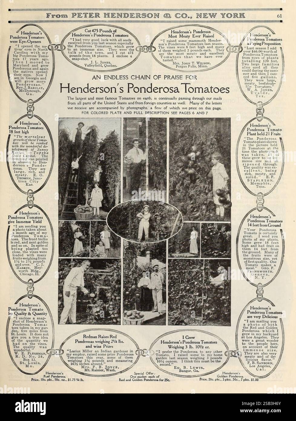 Tout pour le jardin New York, Peter Henderson & Co, c1915 fleurs ...
