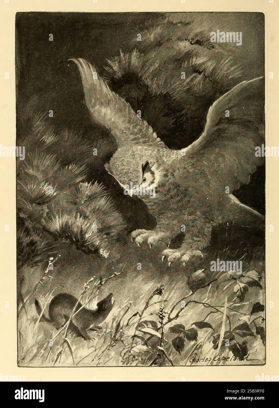 Wilderness Ways, Boston, États-Unis A, Ginn & Company, 1900 ...