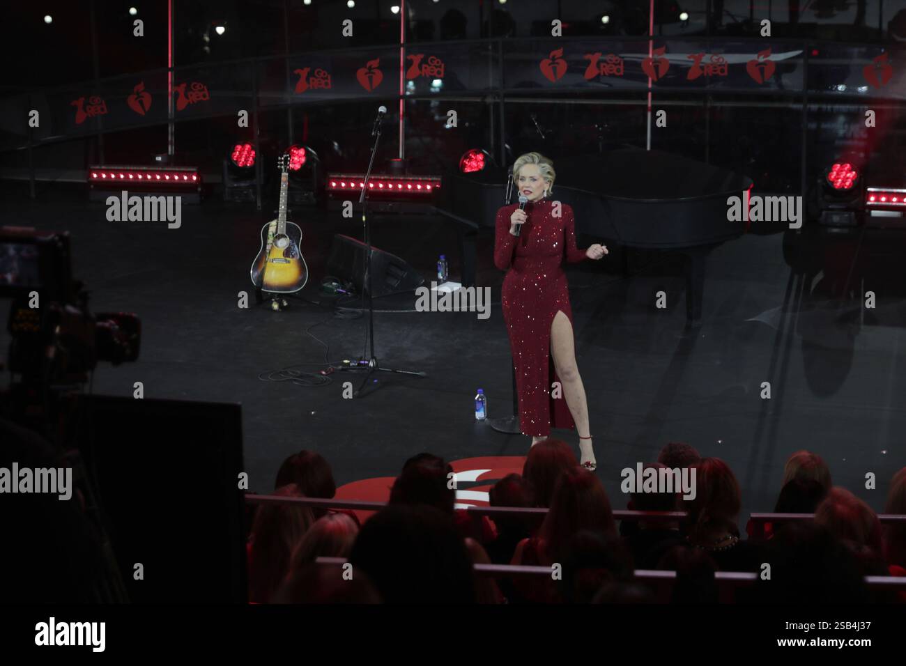 NEW YORK, NEW YORK - JANVIER 30 : L'actrice et philanthrope Sharon ...