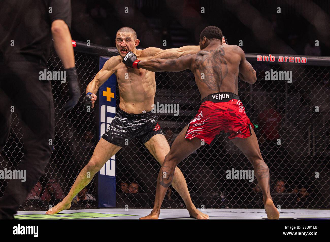 1 février 2025, Riyad, Riyad, Arabie saoudite, Arabie Saoudite : Damir ...