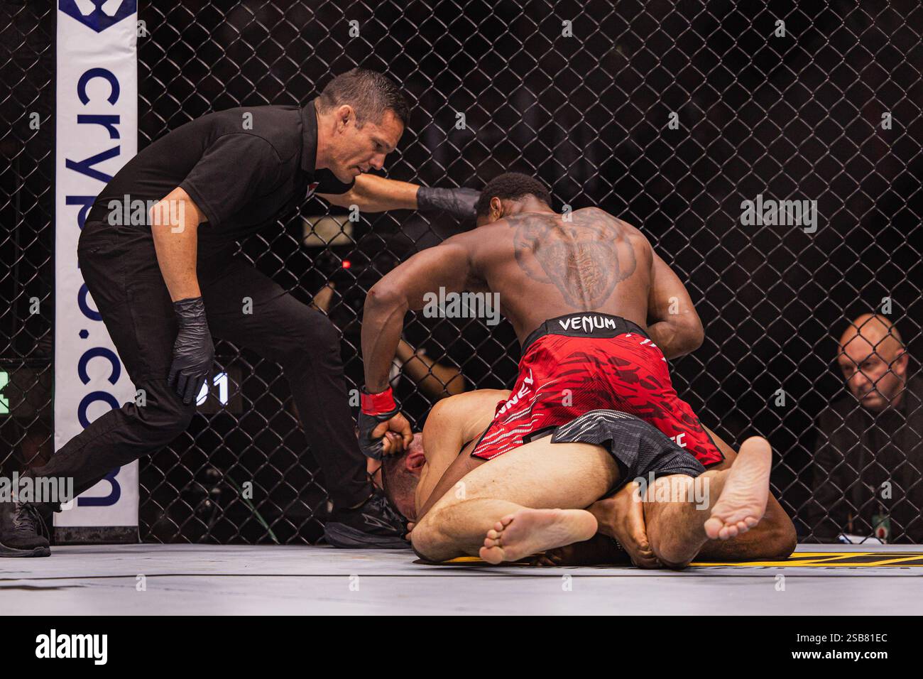 1 février 2025, Riyad, Riyad, Arabie saoudite, Arabie Saoudite : Damir ...