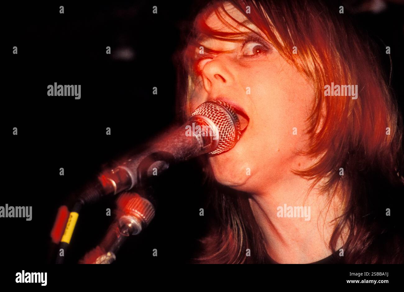 DIANNE SWANN, TONGUE, 1996 : la chanteuse néo-zélandaise Dianne Swann ...