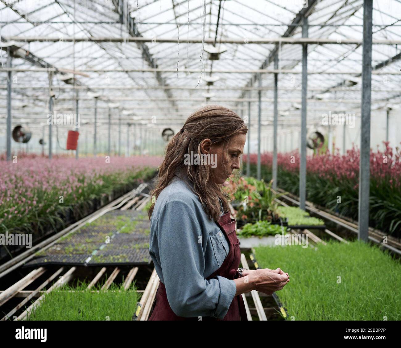 Sydney. Australie. Sigourney Weaver dans la série télévisée Amazon ...