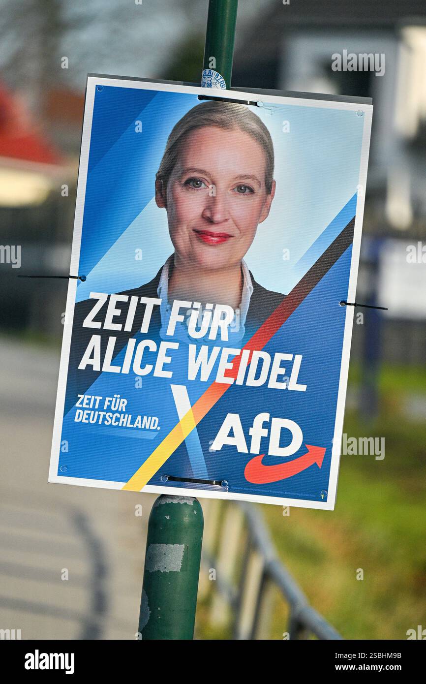 DEUWahlkampf AFD Blick auf Wahlkampf- Plakate in Kröpelin in ...