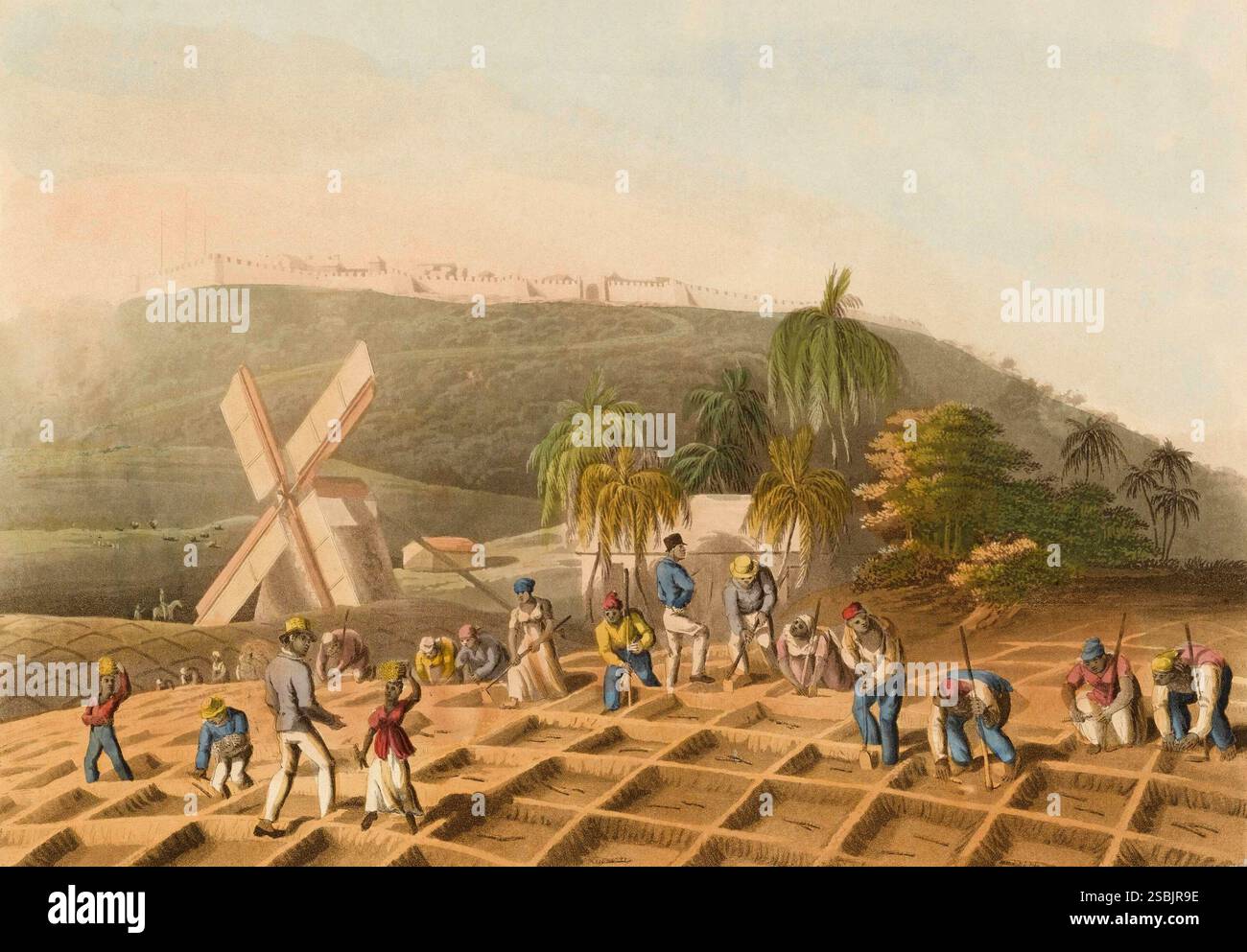 Esclaves plantant la canne à sucre, de la série dix vues dans l'île d'Antigua par William Clark ...