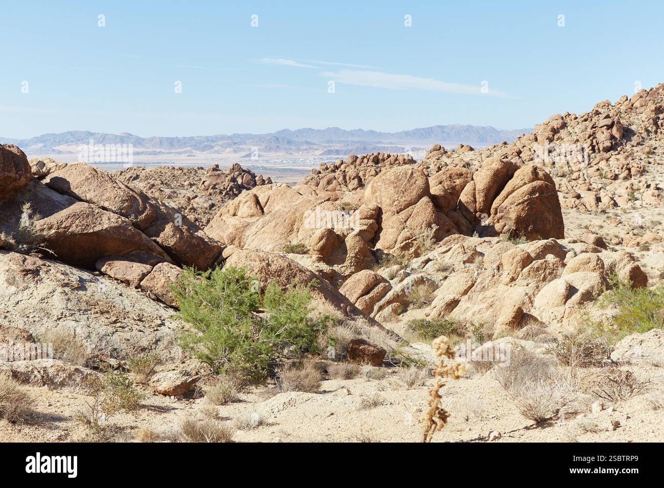Joshua Tree National Park est l'endroit où convergent les déserts du ...