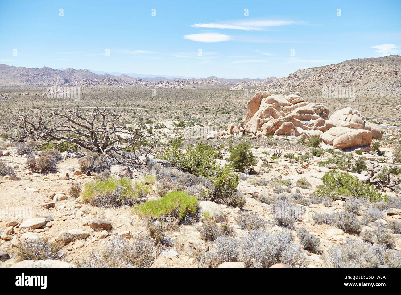 Joshua Tree National Park est l'endroit où convergent les déserts du ...