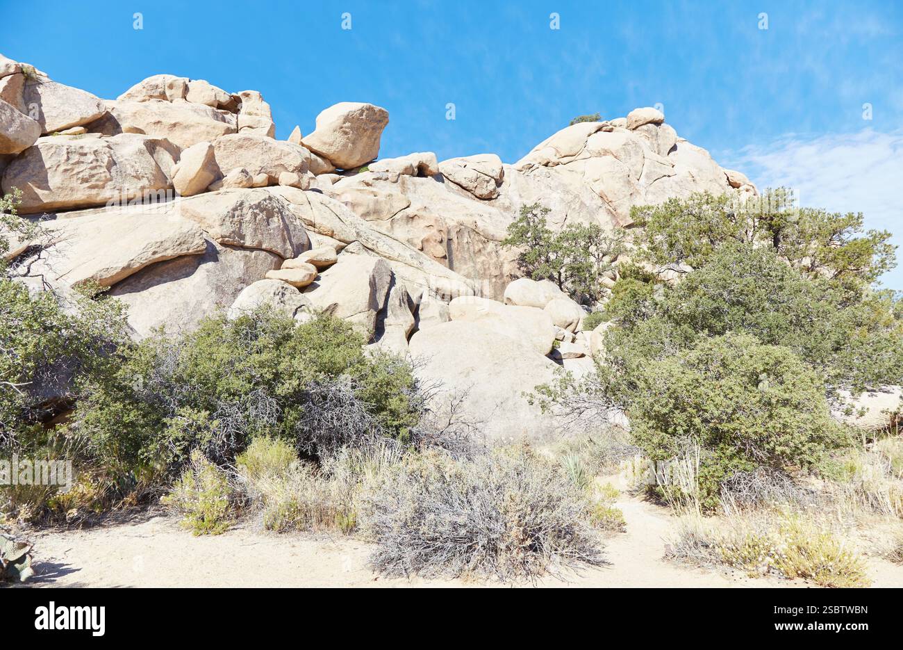 Joshua Tree National Park est l'endroit où convergent les déserts du ...