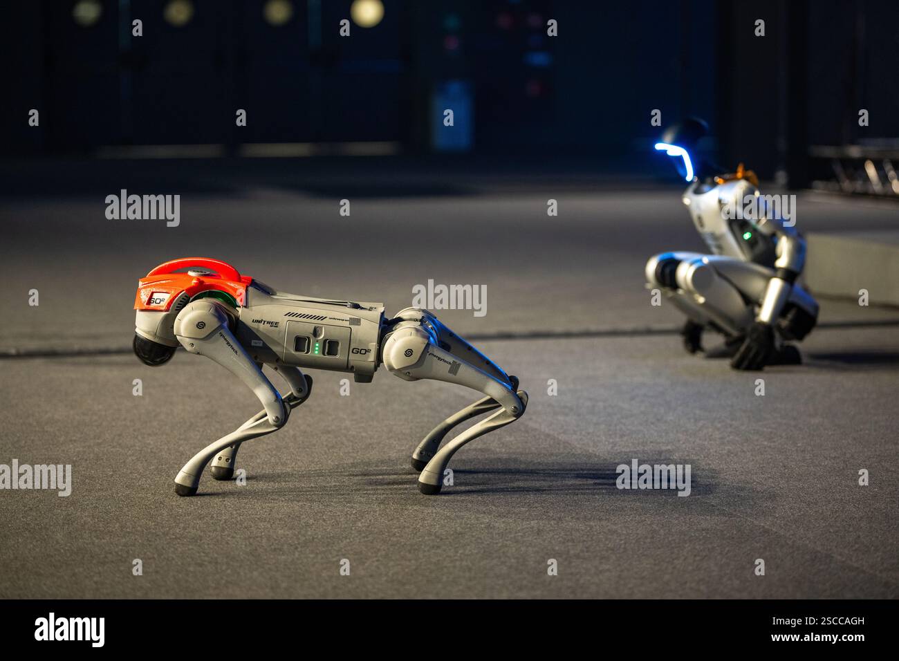 ISE 2025 (Integrated Systems Europe). Robot humanoïde de Unitree ...