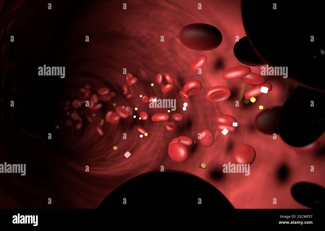 Illustration informatique de la circulation sanguine contenant des ...
