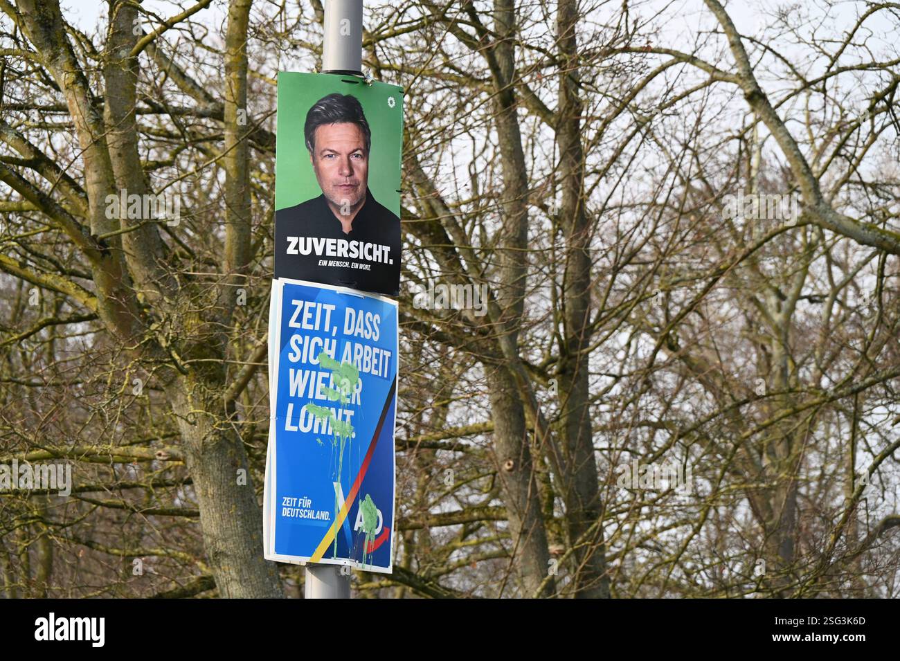 Wahlplakate der Grünen und ein geschmiertes Plakat der AFD zur ...