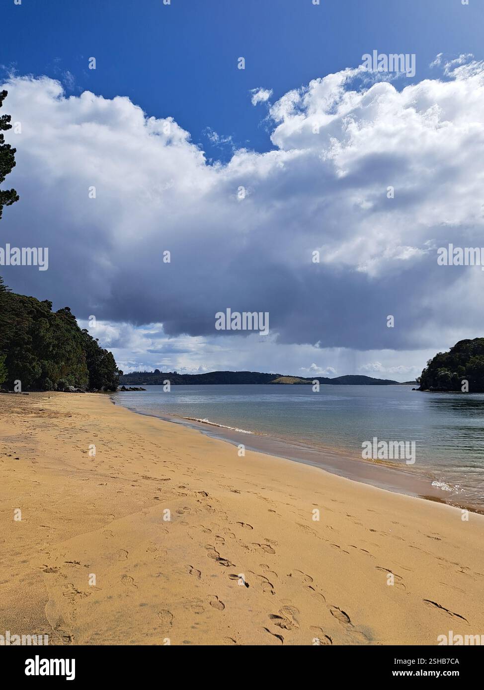Stewart island and new zealand photos et images smartphone de stock - Alamy