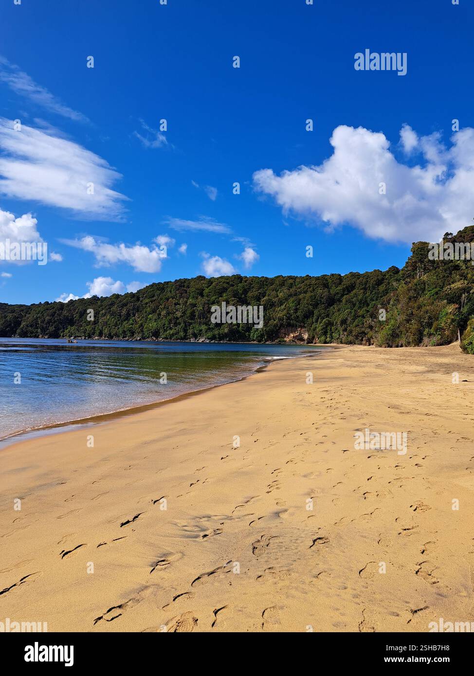 Stewart island and new zealand photos et images smartphone de stock - Alamy
