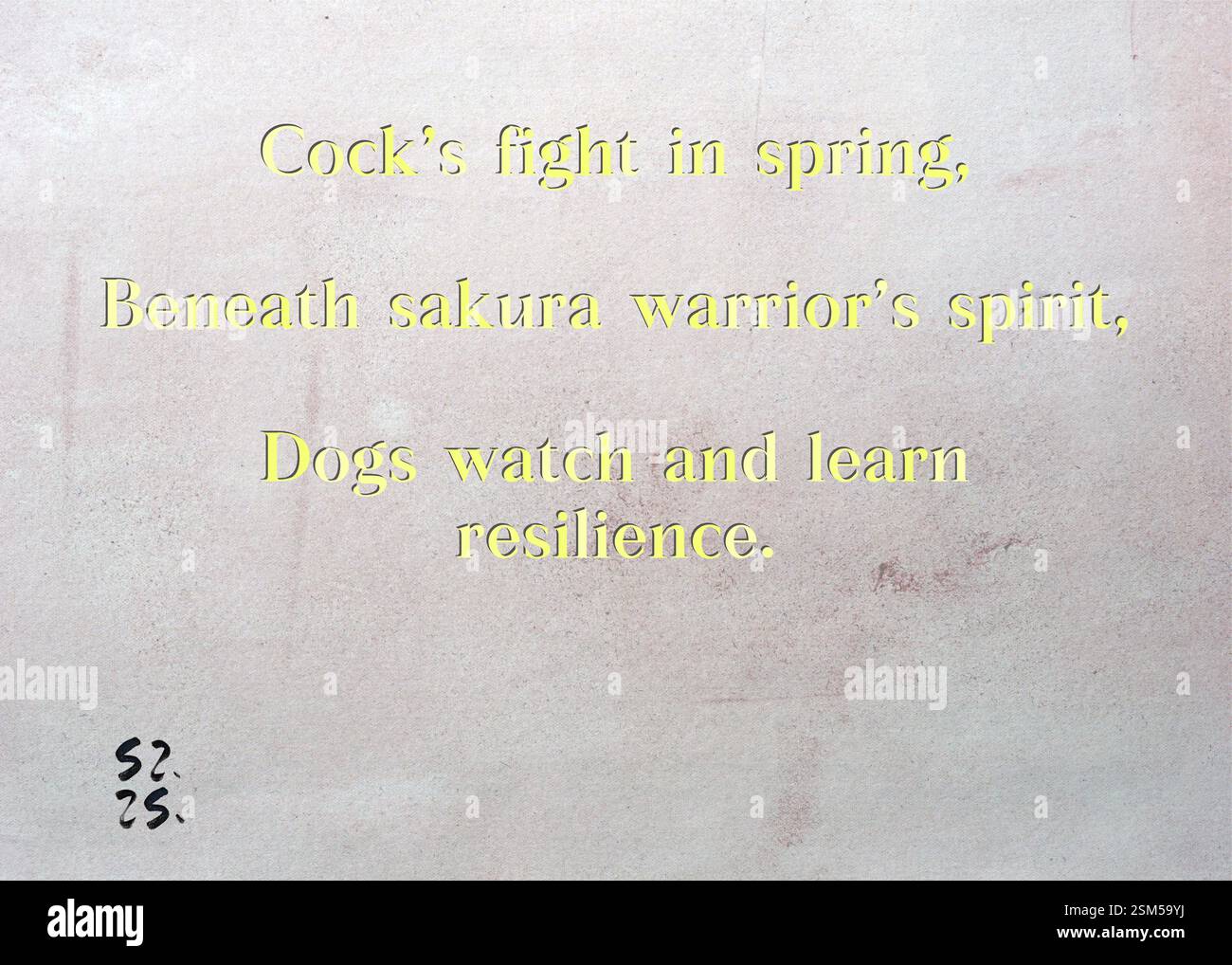 Le combat de Cock au printemps, sous l'esprit du guerrier sakura, les ...
