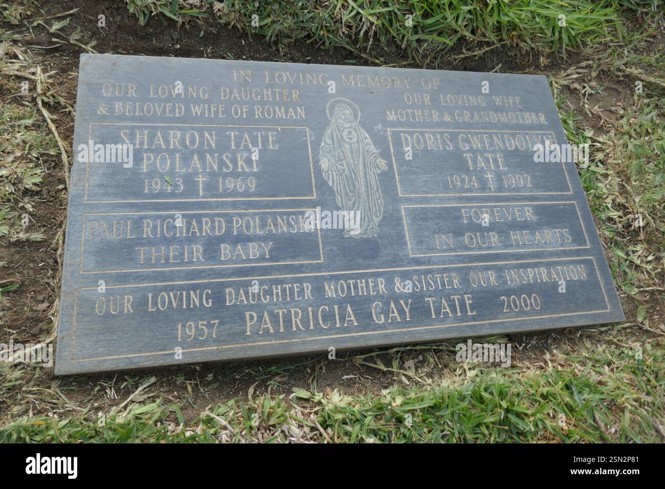 Patricia taté Banque de photographies et d’images à haute résolution ...