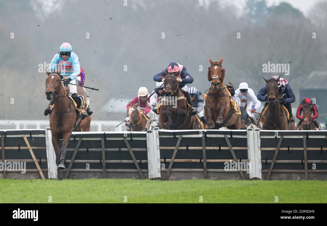 Ascot, Royaume-Uni. Samedi 15 février 2025. Samuel Spade ( Pink & Blue ...