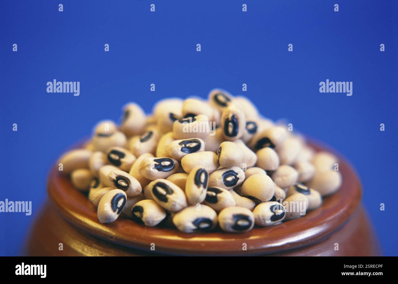 Vigna sinensis Banque de photographies et d’images à haute résolution ...