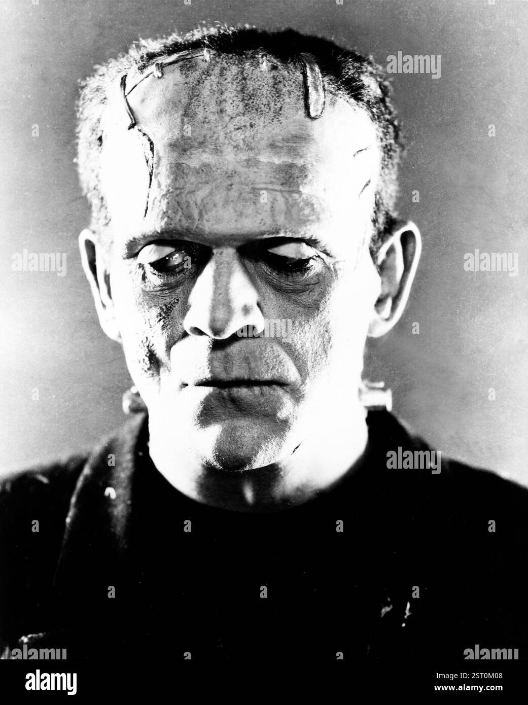 Boris karloff bride frankenstein 1935 Banque de photographies et d ...