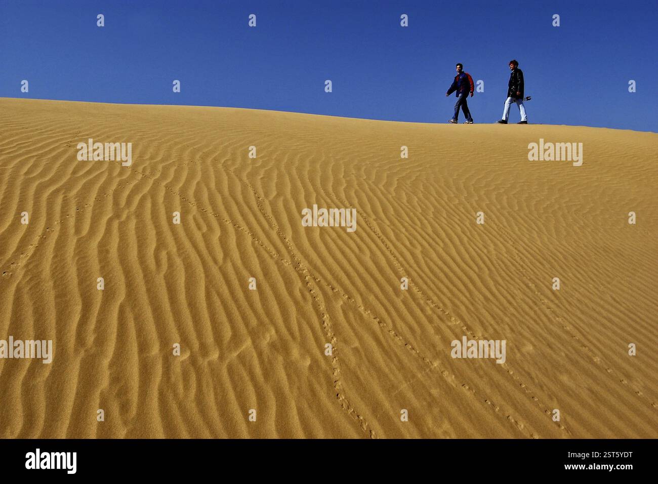 Sam freed Banque de photographies et d’images à haute résolution - Alamy