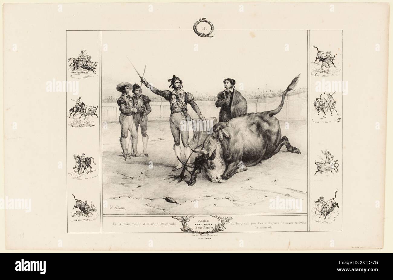 Dans l'arène de la tauromachie, le taureau est au sol tandis que le ...