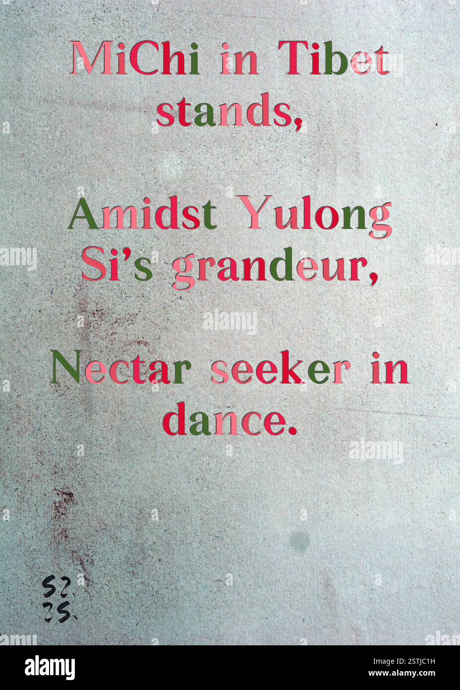 Michi au Tibet se tient, au milieu de la grandeur de Yulong si ...