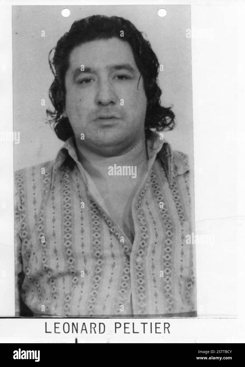 Le 6 février 1976, Hinton, Alberta, Canada : la capture de l'ancien ...