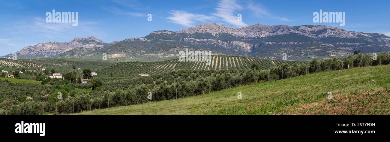 Cazorla national park Banque de photographies et d’images à haute ...