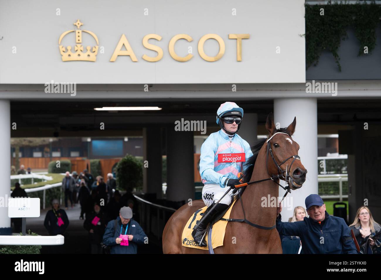 Ascot, Berkshire, Royaume-Uni. 15 février 2025. Cheval BLUE HOP monté ...