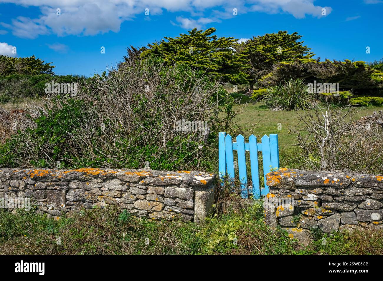 05.09.2024, France, Bretagne, Pors Poulhan - pittoresque mur de pierres ...